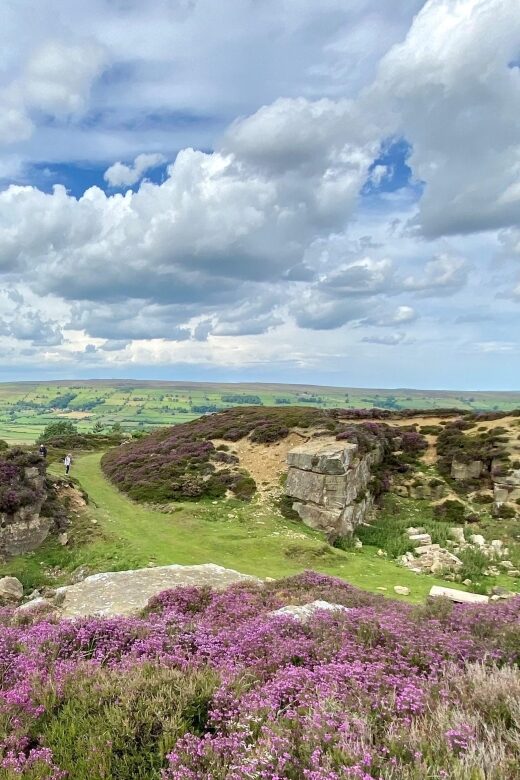 From London: The North York Moors with Steam Train to Whitby - Final Thoughts: Who Will Love This Tour?
