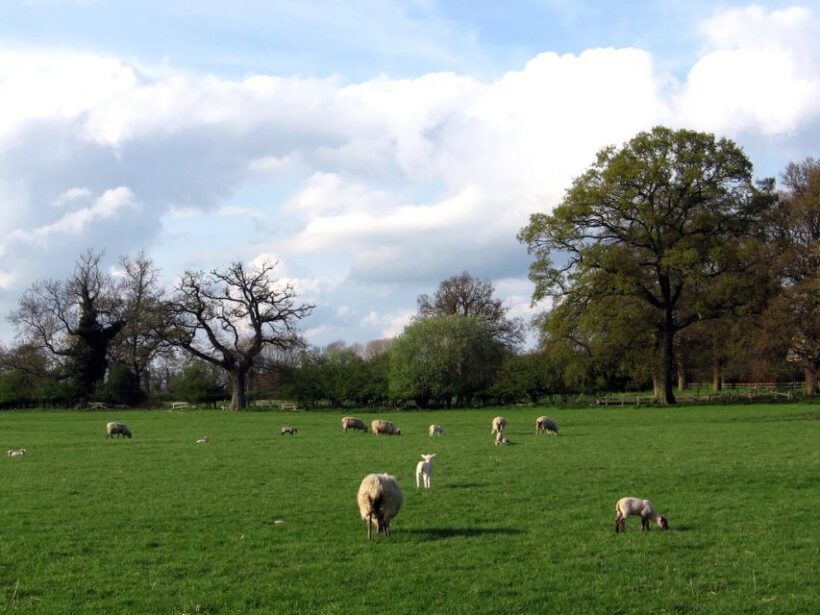 From London: Warwick Castle, Stratford & Oxford Day Tour - Transportation and Comfort