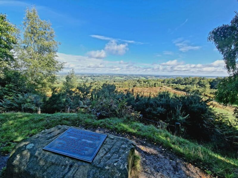 From London: Winnie-the-Pooh's Hundred Acre Wood Day Tour - Key Points