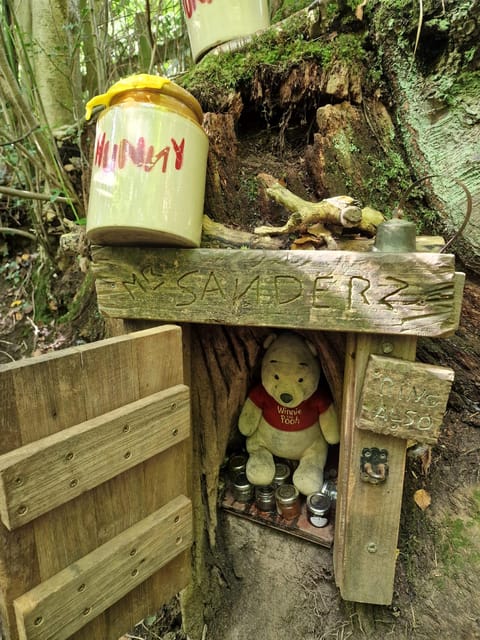 From London: Winnie-the-Pooh's Hundred Acre Wood Day Tour - Walking Through Ashdown Forest: The Heart of the Adventure