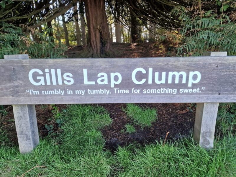 From London: Winnie-the-Pooh's Hundred Acre Wood Day Tour - Lunch: A Farm-to-Table Experience