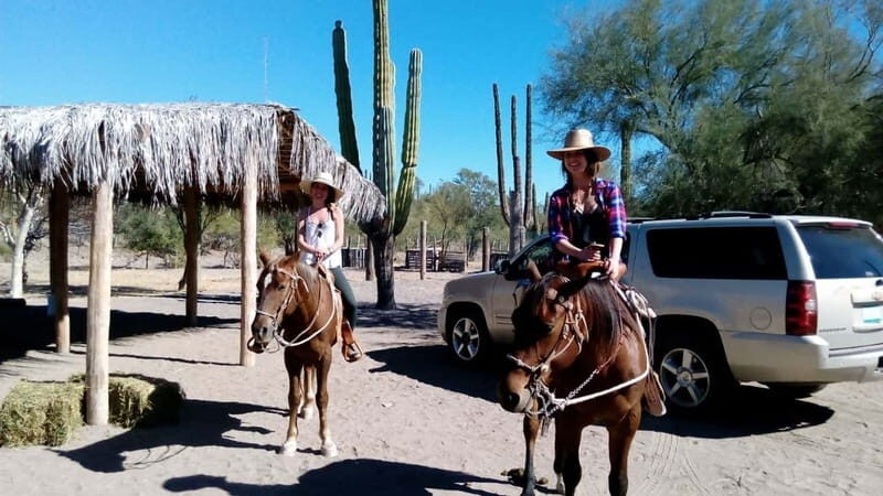 From Loreto: Baja Desert Horseback Riding Tour - From Loreto: Baja Desert Horseback Riding Tour — A Genuine Adventure in Mexico’s Unique Landscape