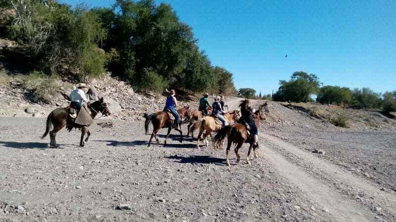 From Loreto: Baja Desert Horseback Riding Tour - Why This Tour Is Worth Your Time