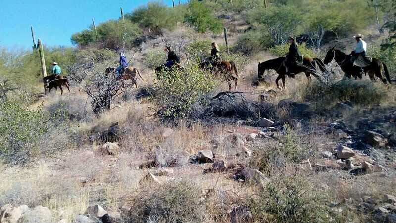 From Loreto: Baja Desert Horseback Riding Tour - Who Will Love This Tour?