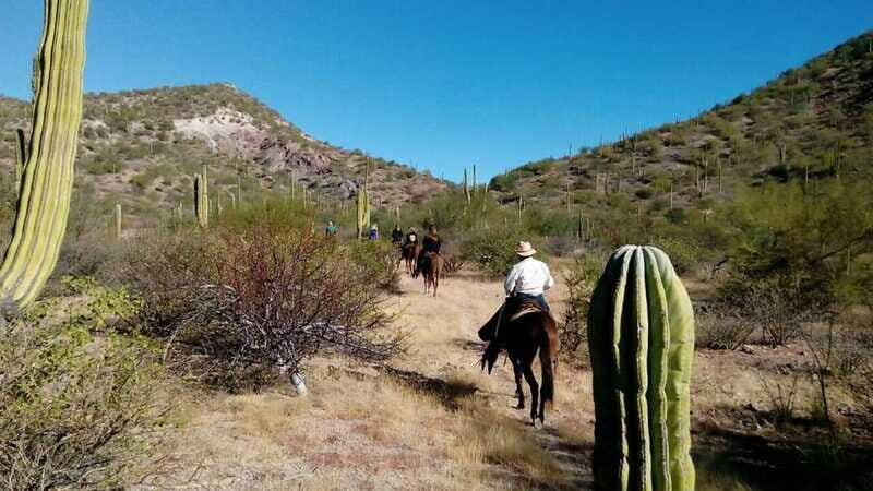From Loreto: Baja Desert Horseback Riding Tour - FAQ
