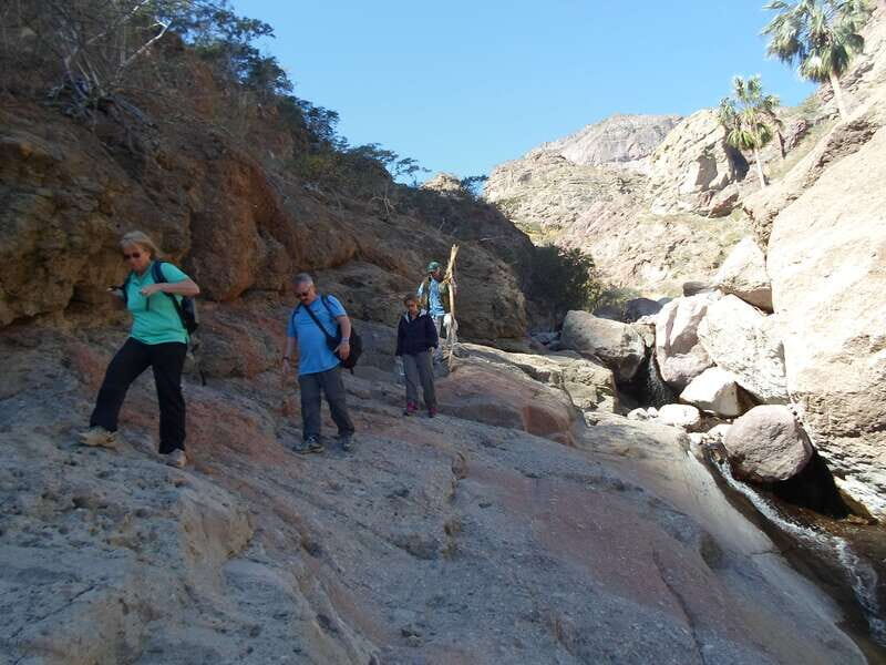 From Loreto: Canipole Cave Painting Guided Hike - A Closer Look at the Experience