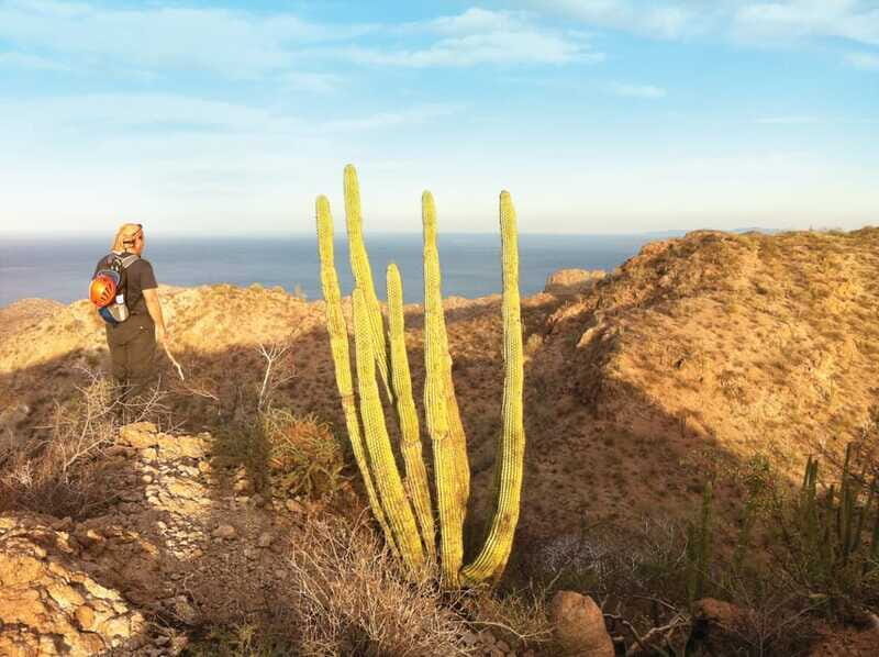 From Loreto: Tabor Canyon Guided Hike - An In-Depth Look at the Tabor Canyon Guided Hike