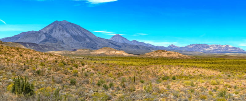 From Los Cabos: City Tour La Paz, Balandra and Todos Santos - The value proposition