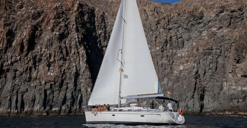From Los Gigantes: Whale Watching Sailboat Cruise - Who Should Book This Tour?
