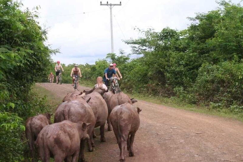 From Luang Prabang: Guided Mountain Bike Tour with Lunch - Expectations and Practical Tips