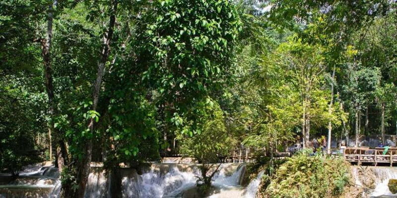 From Luang Prabang: Thin Pha Trail & Tad Sae Falls Trek - FAQs