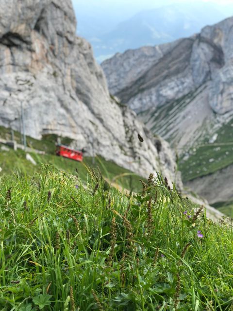 From Lucerne: Mt. Pilatus and Lake Lucerne Private Tour - Itinerary Highlights