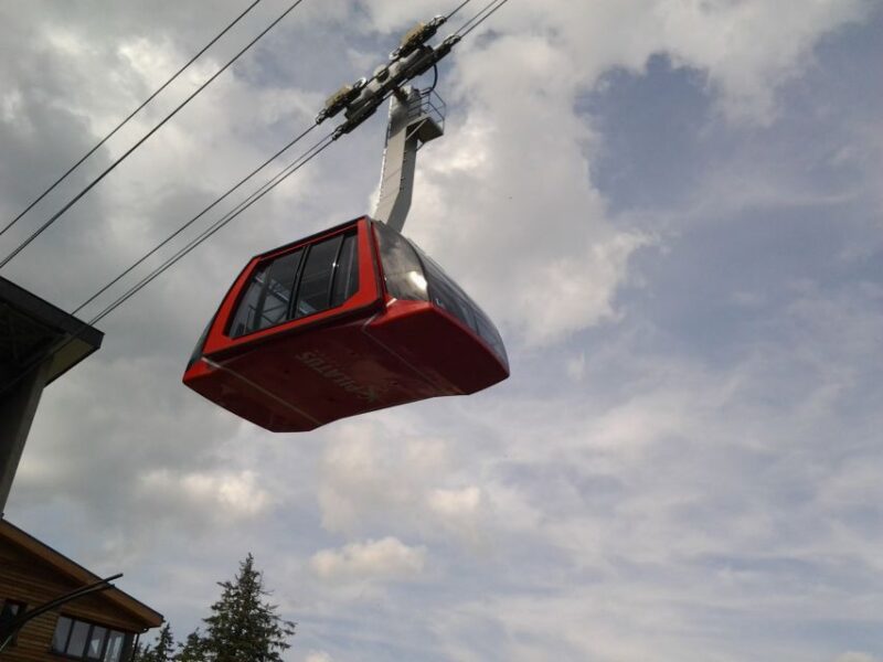 From Luzern:Small Group Tour Golden Roundtrip to Mt. Pilatus - Seasonal Changes and Adjustments