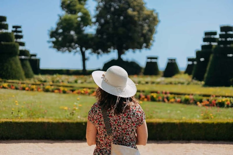 From Lyon: Beaujolais Wine Route Half-Day Tour - The Sum Up