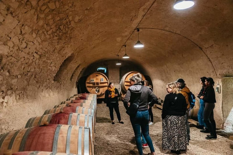 From Lyon: Beaujolais Wine Tour with Tastings - Authentic Experiences That Make the Difference