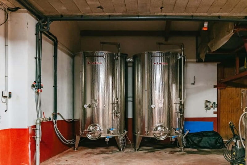 From Lyon: Golden Stones Beaujolais Wine Tasting Tour - What To Keep in Mind