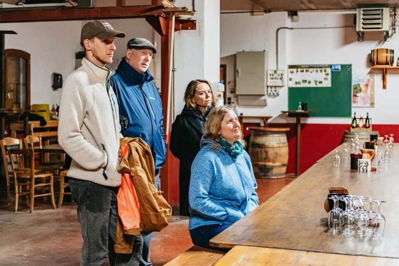 From Lyon: Golden Stones Beaujolais Wine Tasting Tour - Final Thoughts