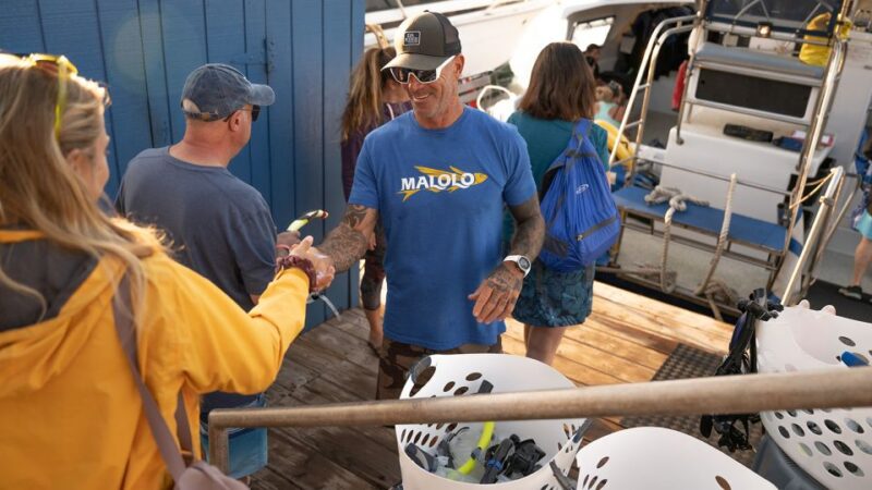 From Ma'alaea: Afternoon Whale Watch Tour Aboard the Malolo - The Breakdown of the Experience