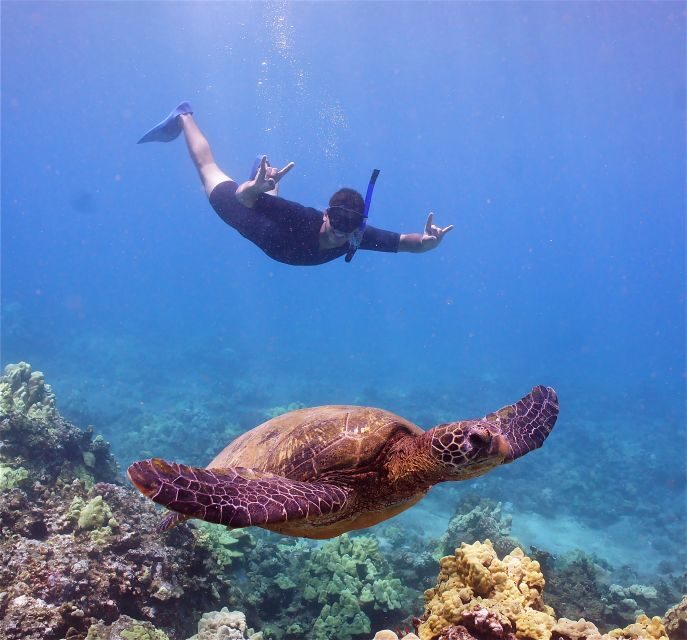 From Ma'alaea: AM Turtle Town Snorkel Aboard Quicksilver - Setting the Scene: What to Expect on Your Maui Snorkel Cruise