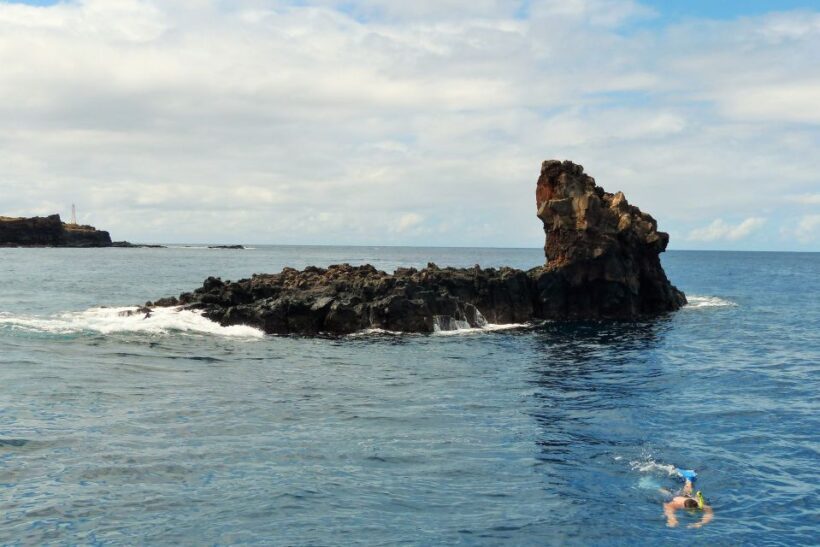 From Ma'alaea: AM Turtle Town Snorkel Aboard Quicksilver - FAQ