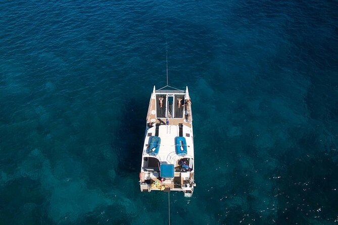 From Ma'alaea Harbor: Sunset Whale Watch Tour Aboard the Malolo - Final Thoughts