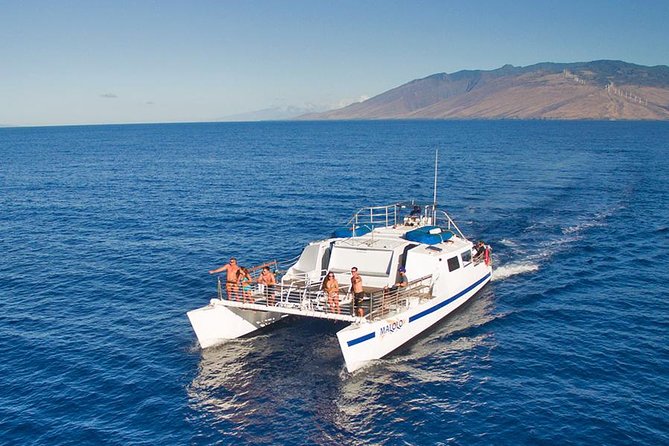 From Maalaea Harbor: Whale Watch Cruise Aboard the Malolo - Meeting and Check-In Information