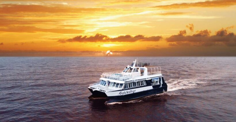 From Ma'alaea: Sunset Dinner Cruise Aboard the Quicksilver - Final Thoughts