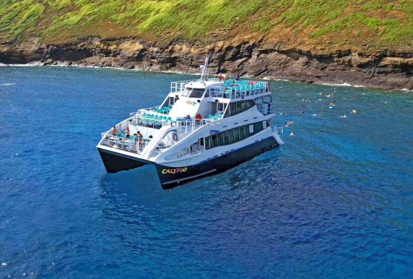 From Ma'alaea: Thanksgiving Dinner Cruise Aboard the Calypso - Who This Experience Is Best For