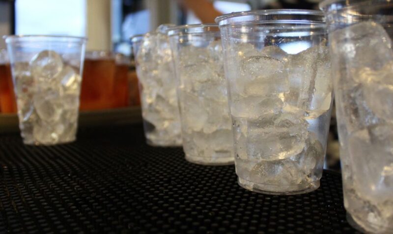 From Ma'alaea: Thanksgiving Dinner Cruise Aboard the Calypso - The Itinerary: What to Expect