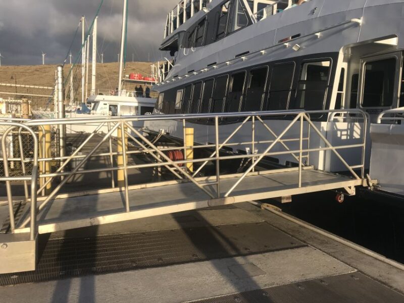 From Ma'alaea: Thanksgiving Dinner Cruise Aboard the Calypso - Live Music and Atmosphere