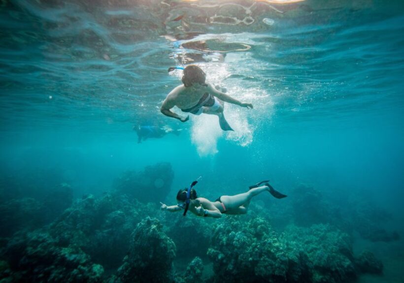 From Maalaea: Turtle Town 3-Hour Snorkel and Sail Adventure - Food, Drinks, and the Overall Atmosphere
