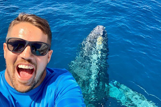 From Maalaea: Whale Watching Tour Aboard the Quicksilver - The Experience and Itinerary in Detail