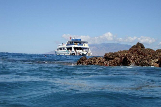 From Maalaea: Whale Watching Tour Aboard the Quicksilver - FAQ