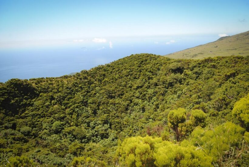 From Madalena: Pico Volcanoes and Lakes Guided Day Tour - FAQ