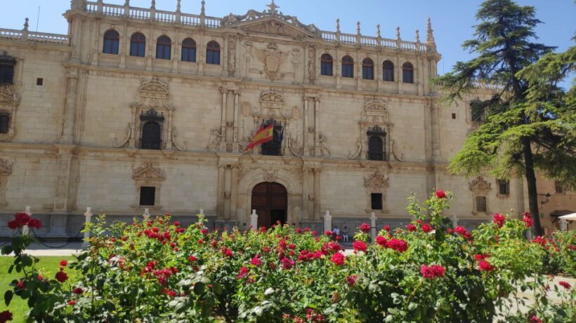 From Madrid: Alcalá de Henares & Cervantes Museum Day Trip - Who Should Consider This Tour?