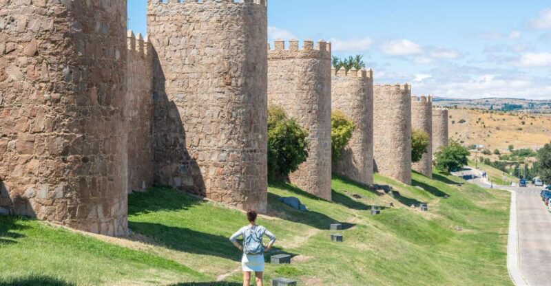 From Madrid: Day Trip to Ávila and Salamanca w/ Guided Tour - Navigating the Itinerary: What Makes It Work (or Not)