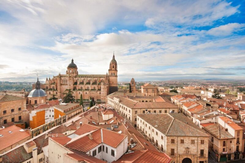 From Madrid: Day Trip to Ávila and Salamanca w/ Guided Tour - Is This Tour Worth It?