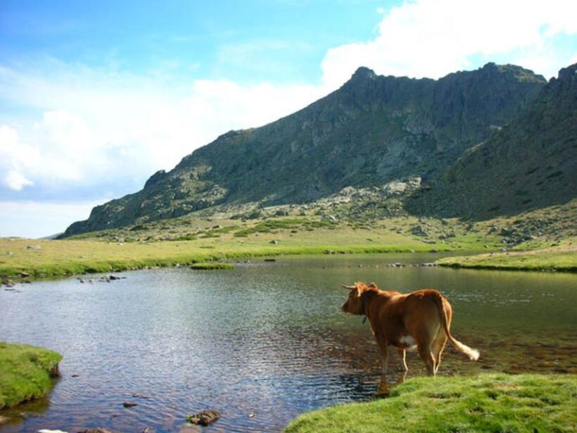 From Madrid: Day Trip to Guadarrama National Park - What to Expect on the Ground