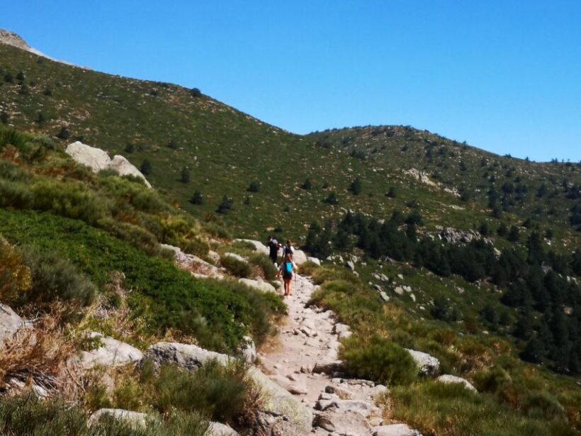 From Madrid: Day Trip to Guadarrama National Park - Who Should Consider This Tour?