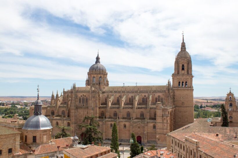 From Madrid: Day Trip to Salamanca with Private Tour - What to Expect from the Tour