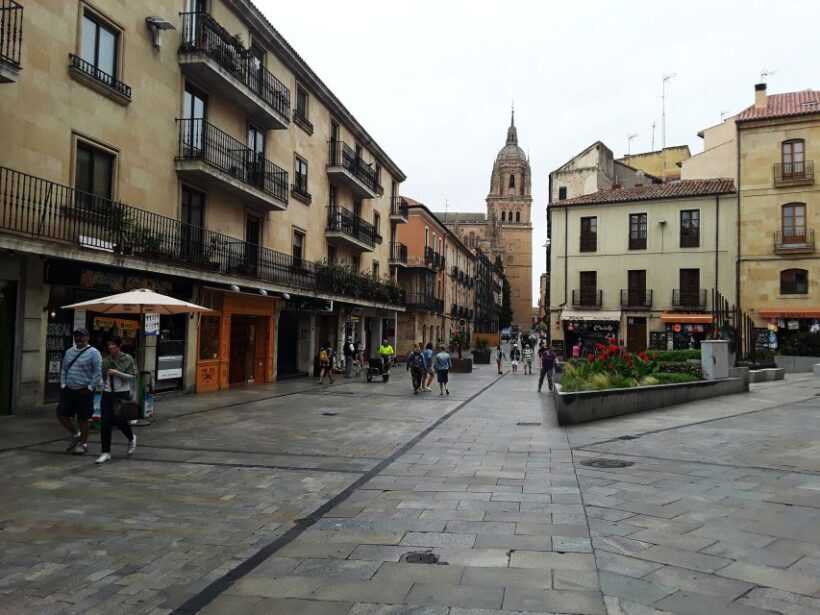 From Madrid: Day Trip to Salamanca with Private Tour - Who Should Consider This Tour?