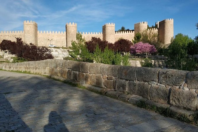 From Madrid : Full-Day Avila and Segovia ComBo Tour (with Transportation) - Who Should Consider This Tour?