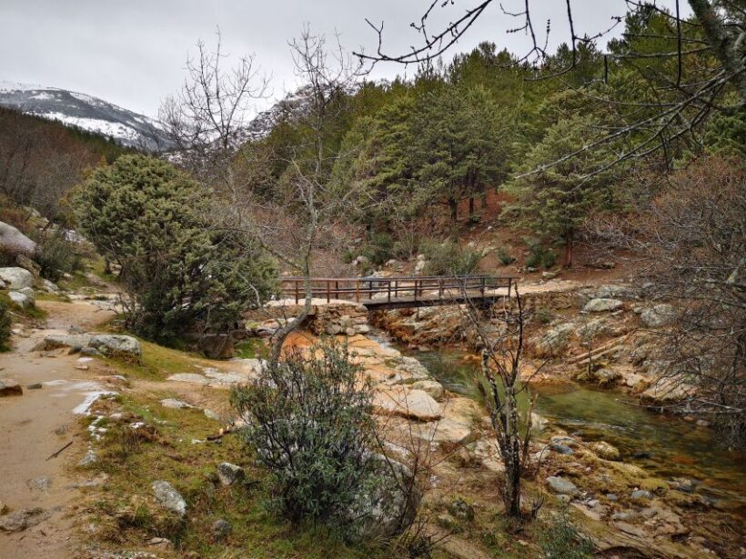 From Madrid: Guadarrama National Park Private Tour - Final Thoughts