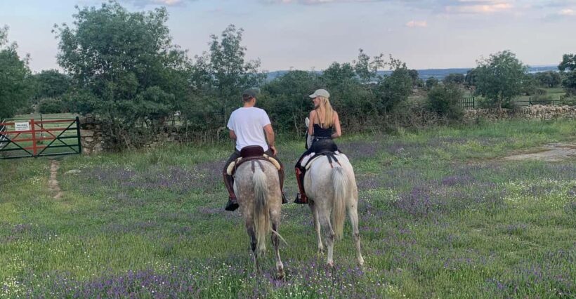 From Madrid: Horseback riding Experience - An In-Depth Look at the Horseback Riding Tour