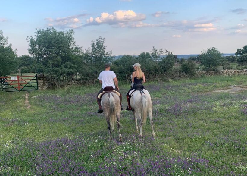 From Madrid: Horseback riding Experience - Practical Tips for Participants