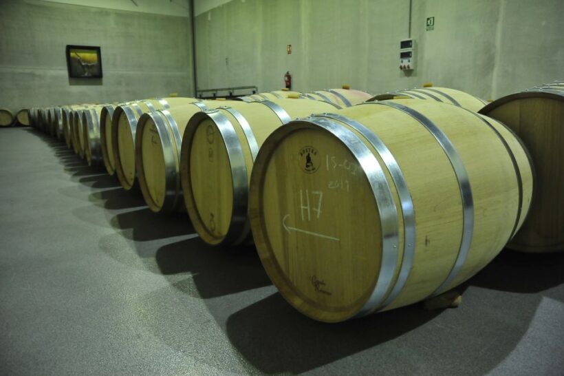 From Madrid: Ribera del Duero Tour of 3 Different Wineries - From Madrid: Ribera del Duero Tour of 3 Different Wineries