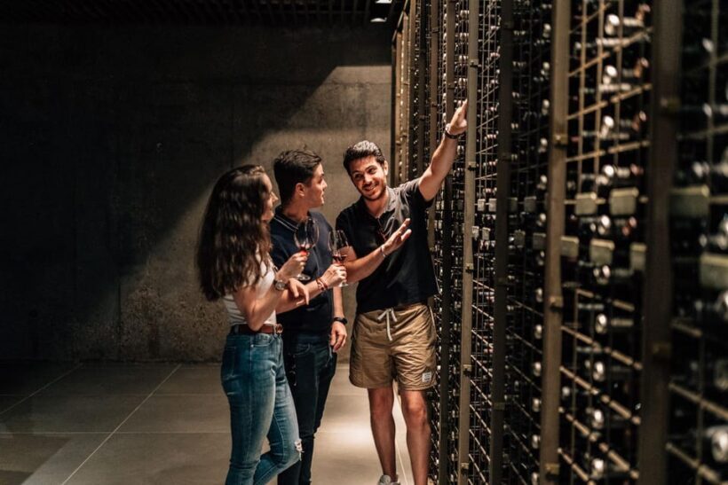 From Madrid: Ribera del Duero Winery and Segovia Tour - The Day in Detail