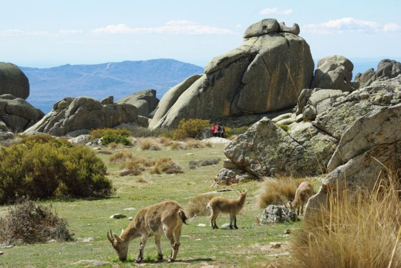 From Madrid: Sierra de Guadarrama Hiking Day Trip - The Basics of the Sierra de Guadarrama Day Trip