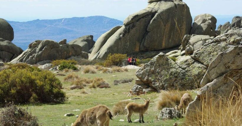 From Madrid: Sierra de Guadarrama Hiking Day Trip - What to Expect During the Tour