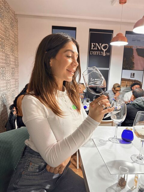 From Madrid: Toledo Tour with Wine Tasting and 3 Monuments - Key Points